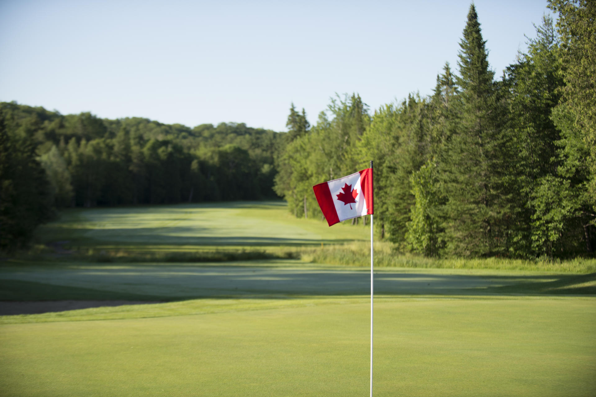 Membership - Mill Run Golf Club