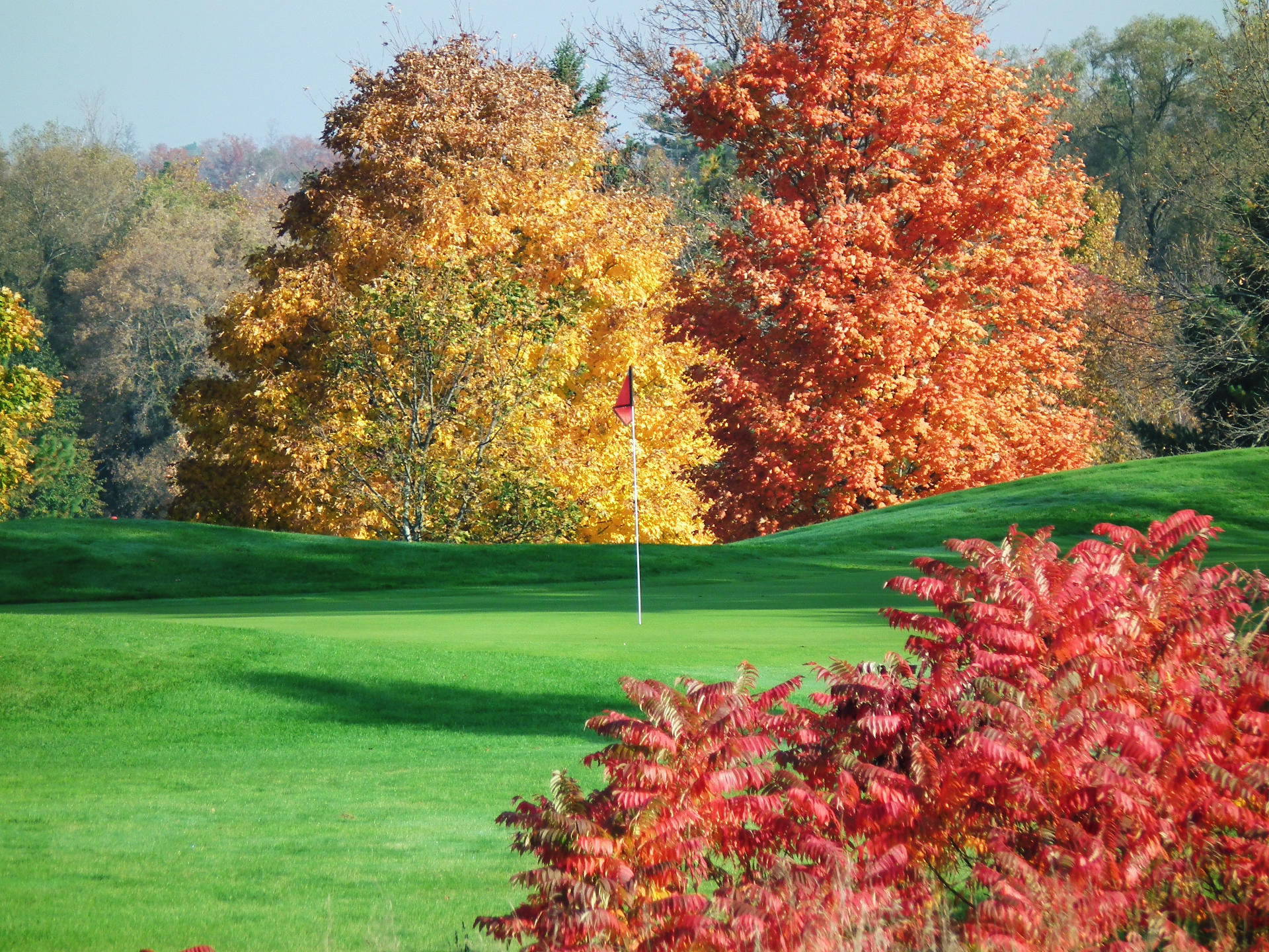 Home - Mill Run Golf Club